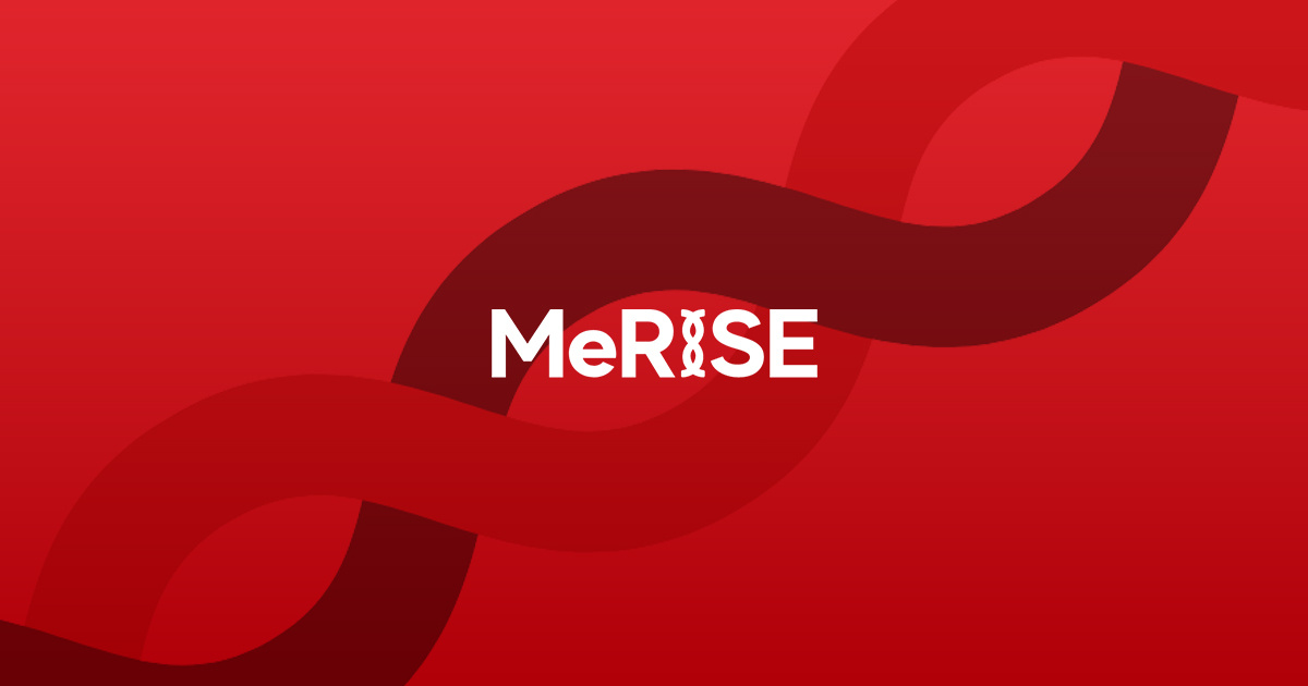 NEWS｜MeRISE株式会社